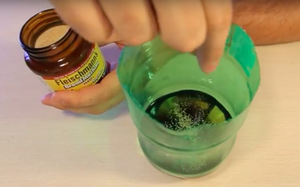 This Gross Concoction Of Brown Sugar and Yeast Does Something That ...